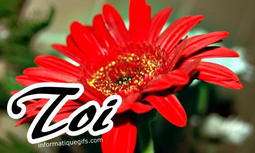 Image de toi et photo toi + Moi animation gif