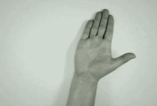 février 2013 - GIF, image, GIF anime, Gifs