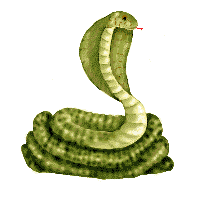 Serpent - GIF, image, GIF anime, Gifs