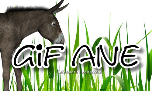 Gifs animes anes, image gif ane brun et images transparentes